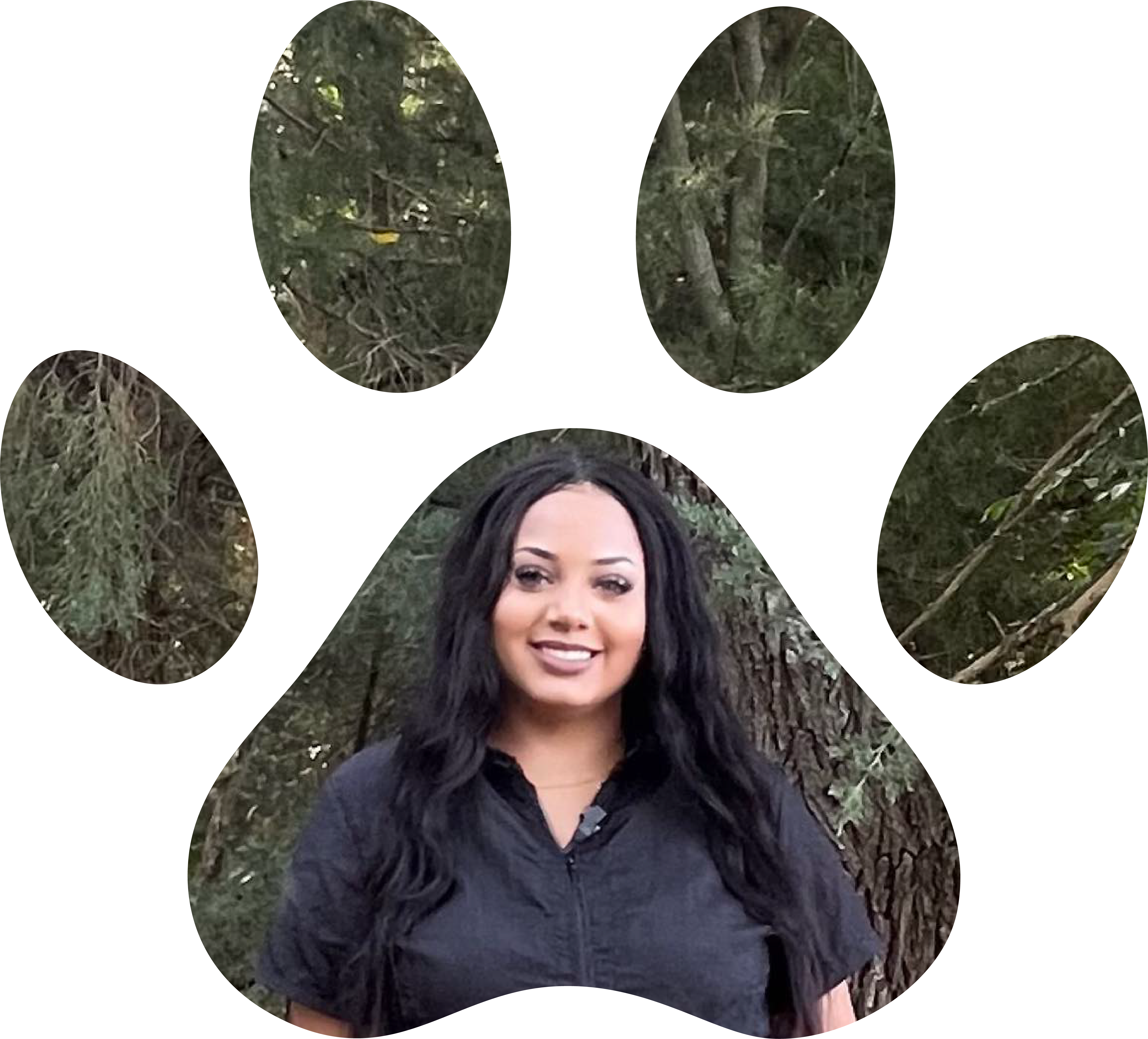 Meet Our Groomers! - Kenl Inn